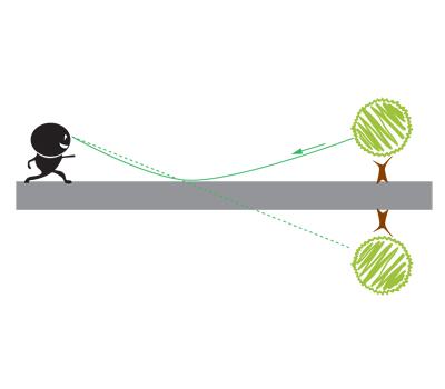 Como se formam as miragens - Já aprendeu algo hoje?