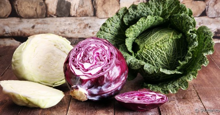 BENEFÍCIOS DO REPOLHO