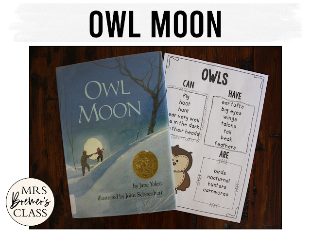 Owl Moon Book Activities | Mrs. Bremer's Class