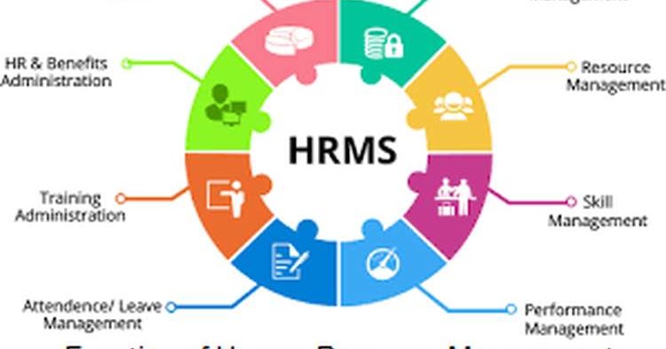 7 Major Functions Of Human Resources Management HRM Project 7 Major Functions Of Human Resources Management HRM Project