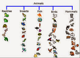 4th GRADERS: ANIMALS