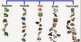 4th GRADERS: ANIMALS