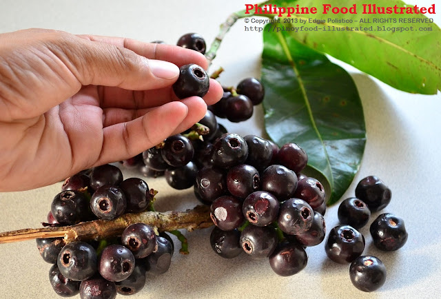 Philippine Food Illustrated