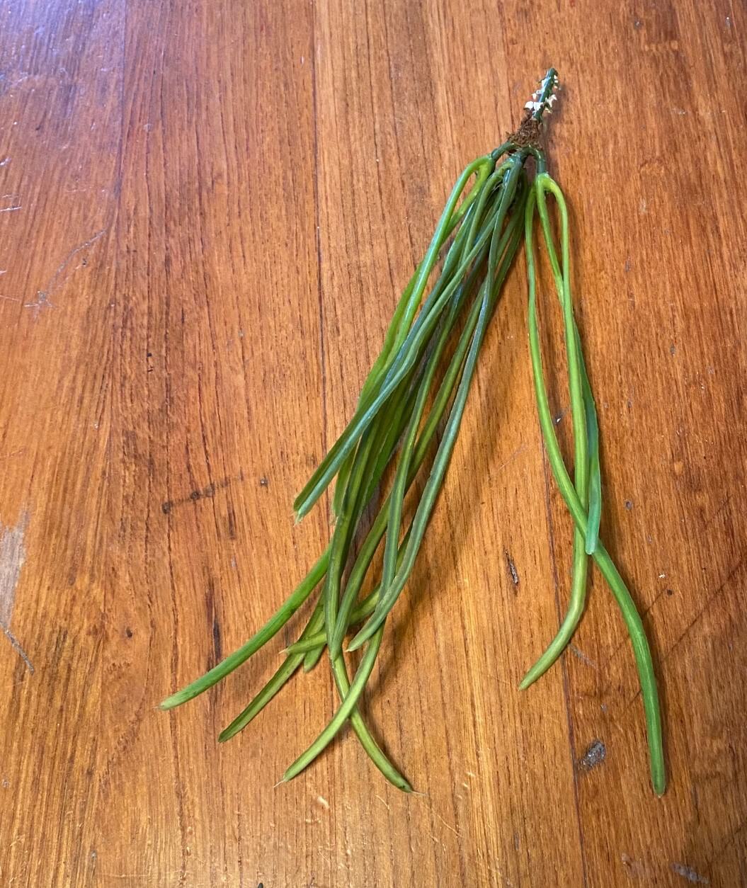 Dollar General Framed Cow Art Receives A Makeover - Organized Clutter