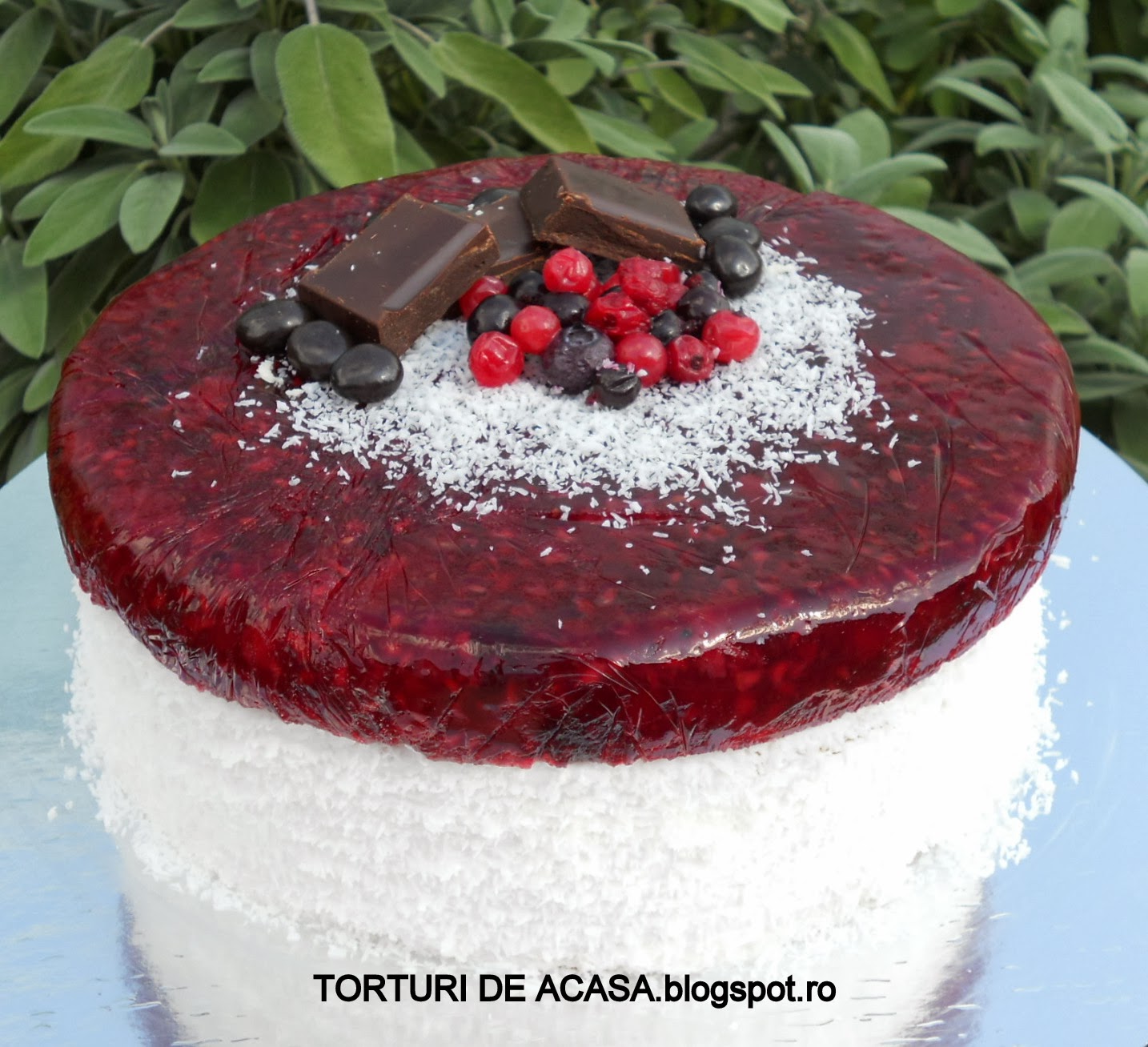 Torturi de acasa: Tort cu fructe de padure si cocos