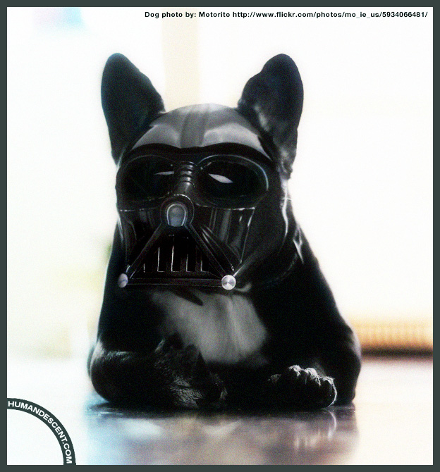 Cosas de Kiko: Martin HumanDescent (1ª parte)