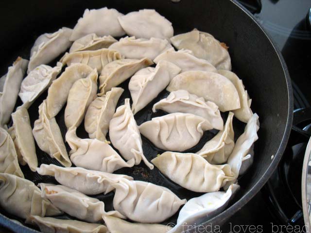Frieda Loves Bread: Gyozas! Japanese Pan Fried Potstickers