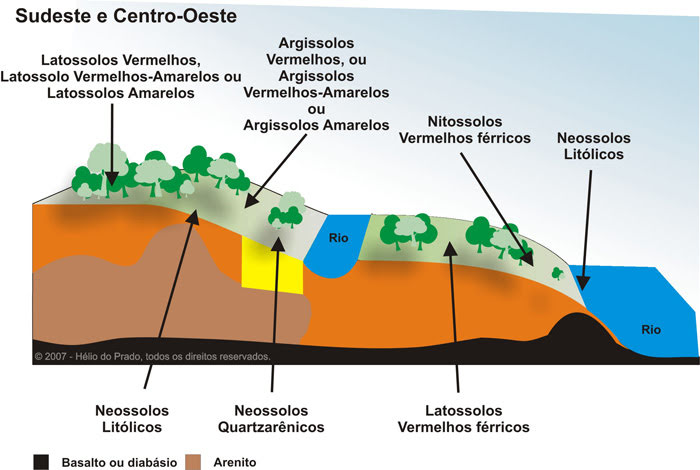 Onde as Plantas Crescem - Latossolos