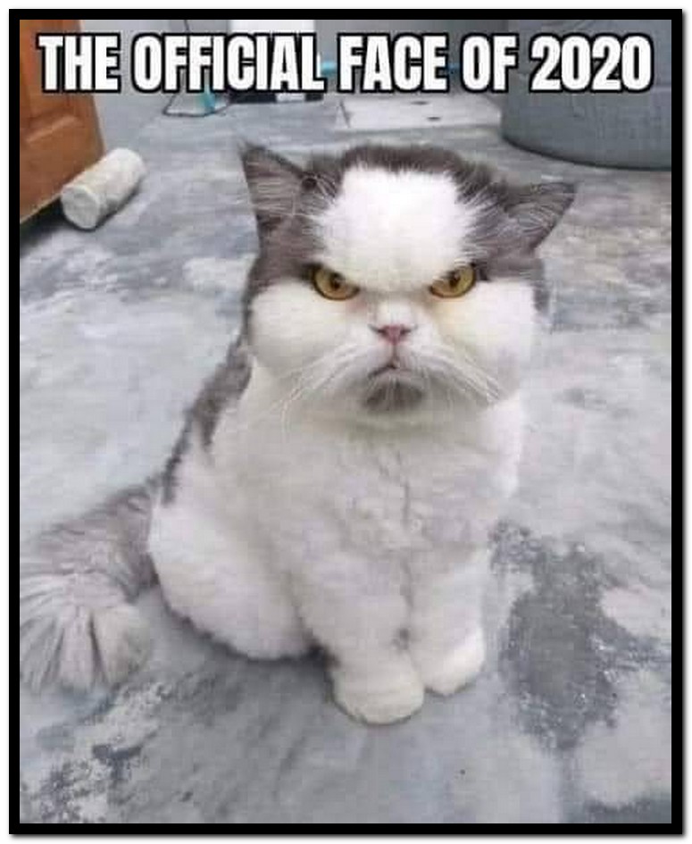 Chuck's Fun Page 2: 2020 humor(?) - 25 images