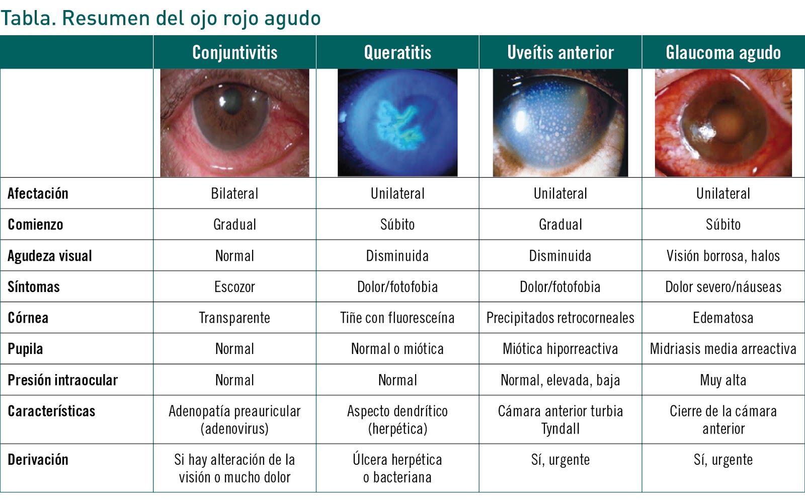 Medicina y Melodía: febrero 2020