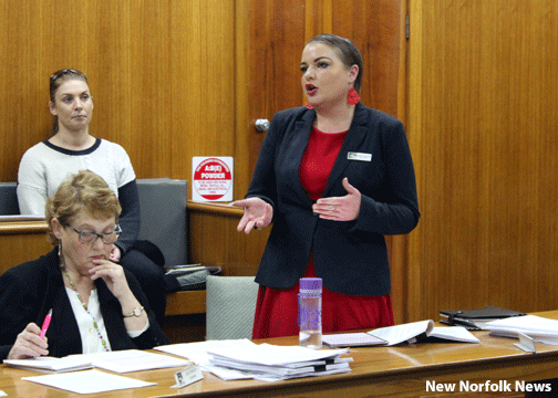 Councillor questions Willow Court ownership plan - New Norfolk News