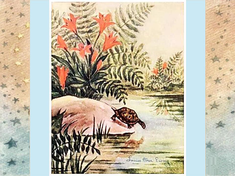 Soloillustratori: Louise Howe Ewing