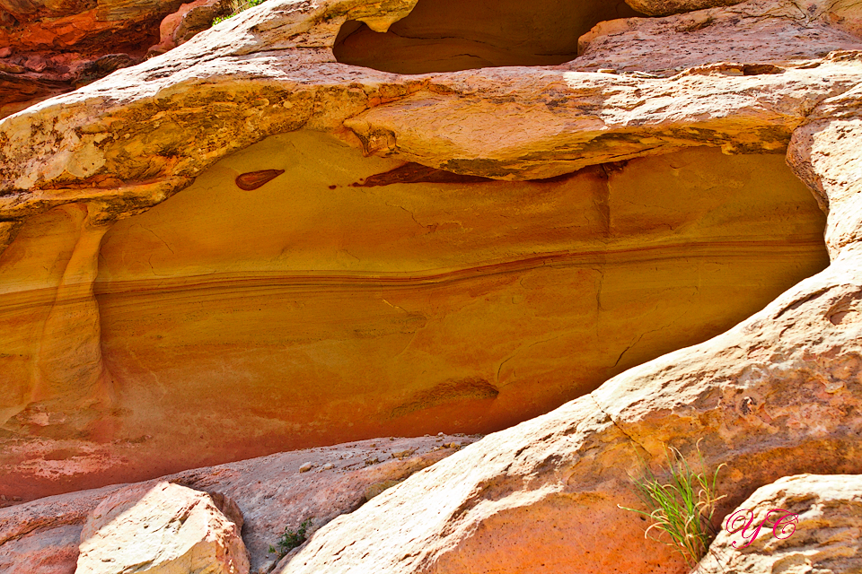 See What I See: YC 镜中的 Capital Reef and Arches NP