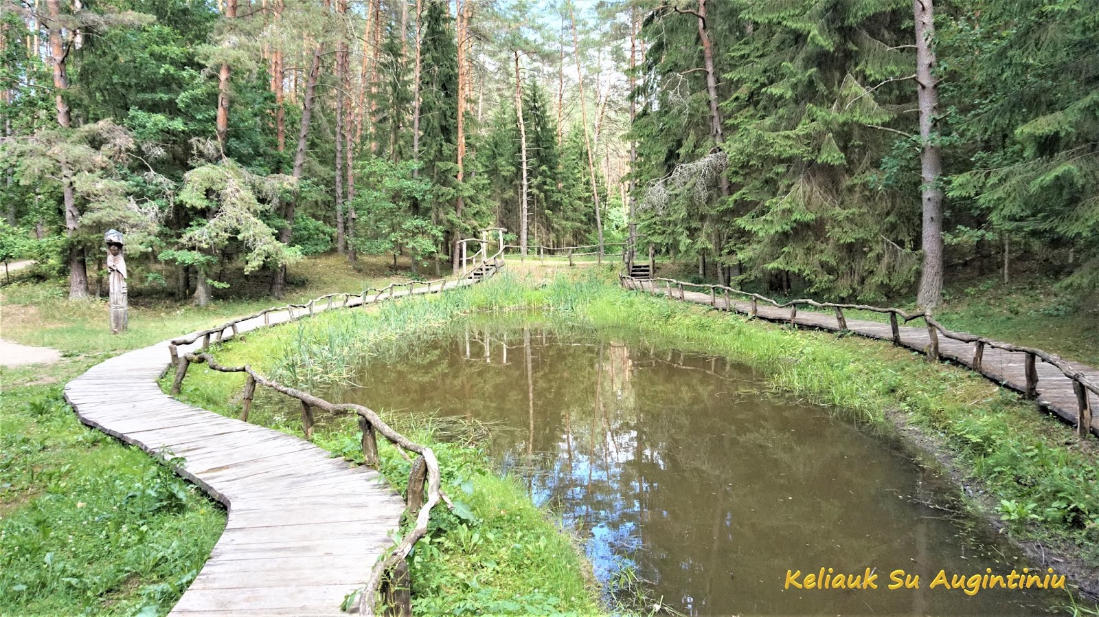 Baltas kalnas - atodanga ir pažintinis takas | Keliauk Su Augintiniu