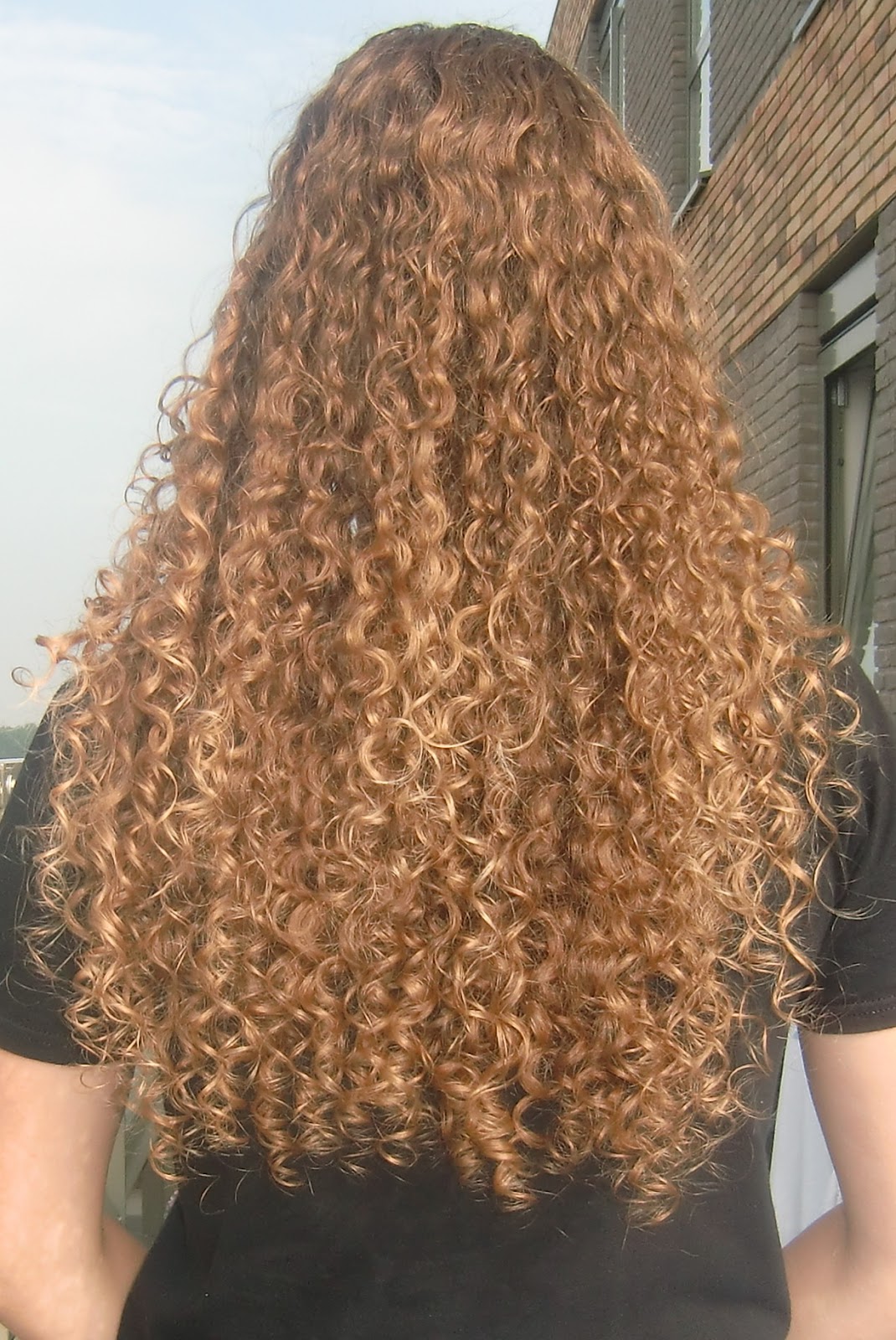 Comunidad del cabello largo: Que hacer para recuperar el cabello rizado ...