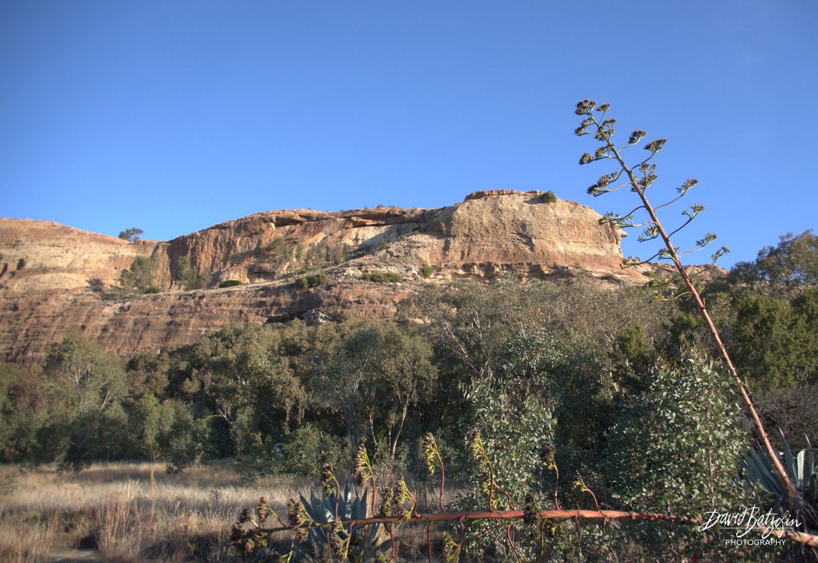 EarthRise Trust. The Naledi Village and Rustlers Valley project ...