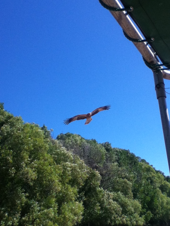 Scheffer Family's Great Aussie Adventure - 2013: 4 June 2013 – Humpty ...