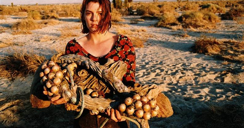 David Vostell | Publications | Releases