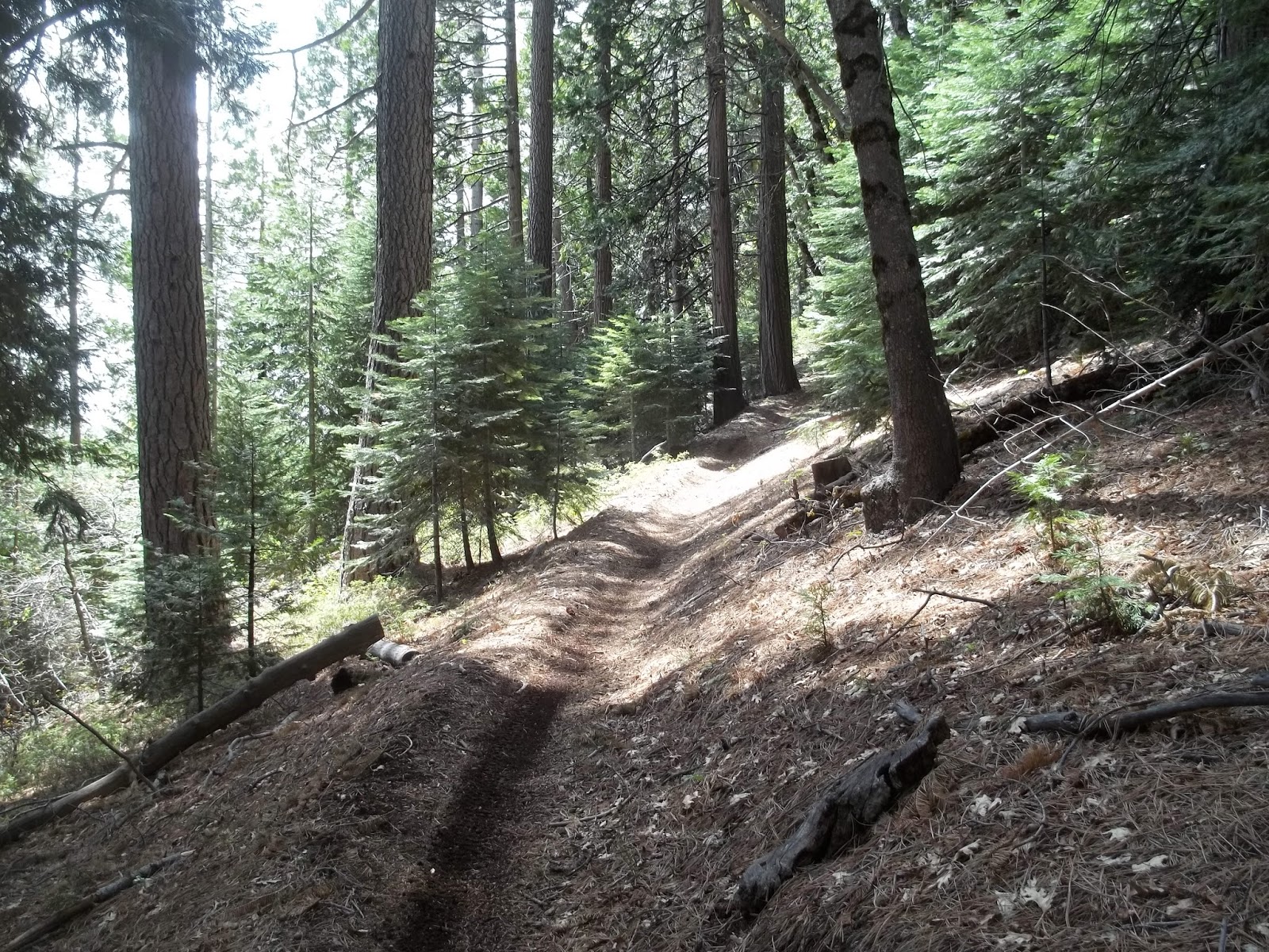 Official Quiet Warrior Racing Blog: POST TMR SINGLE TRACK MOTORCYCLE ...