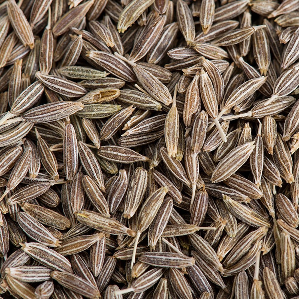 Cumin seed medicinal herb - Cuminum cyminum