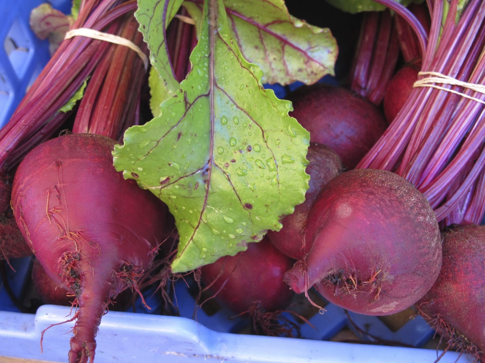 Culinary Types: The Promise of Beets Fulfilled and the Summer Solstice ...