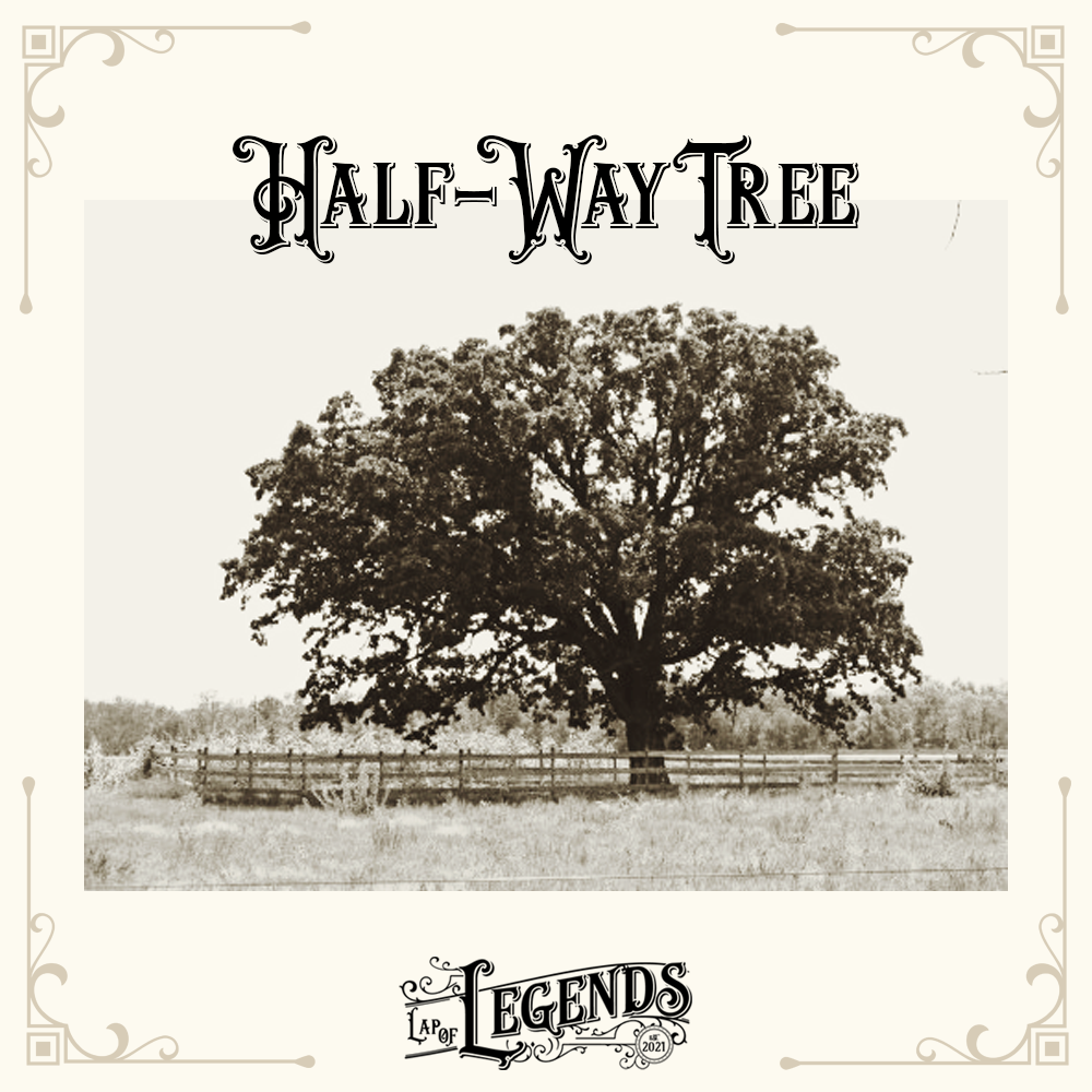 The Half-Way Tree