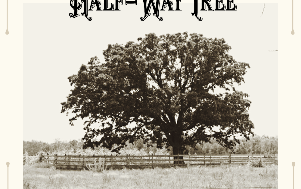 The Half-Way Tree