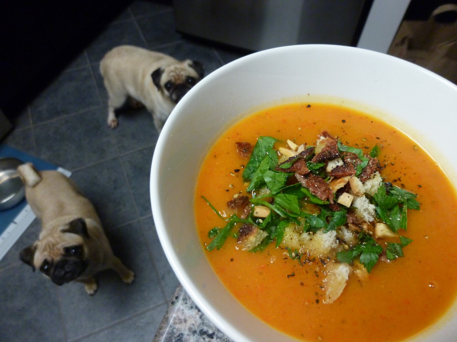 Grubbin' Pugs: Butternut Squash and Red Bell Pepper Soup