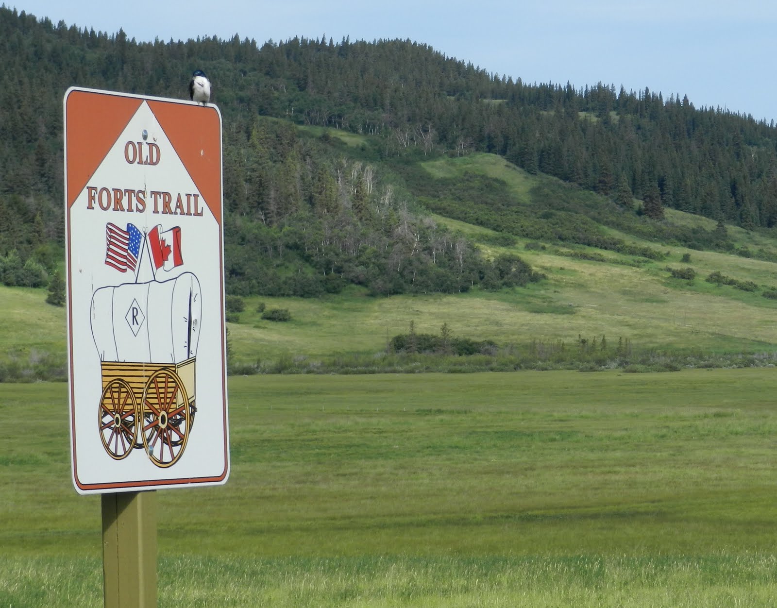 Anita Mae Draper: Fort Walsh and Cypress Hills