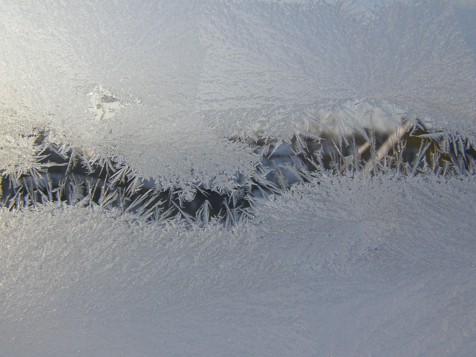 TOILA VALLA LEHT: "Siuru" advendikontserdid