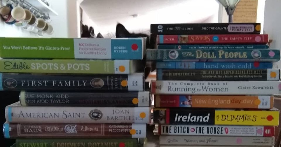 Library Book Sales are the BEST