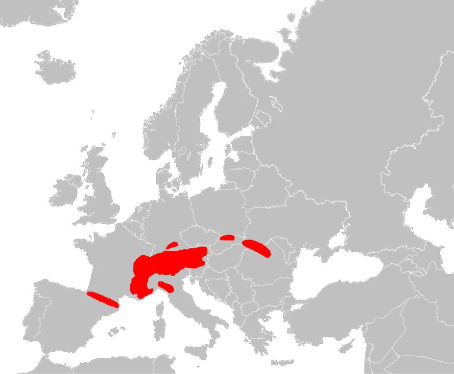 Kako živi divljač / How to live wild animals: Svizac alpski (Marmota ...