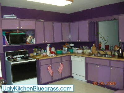 Necessary Pleasures: Win a Kitchen Renovation