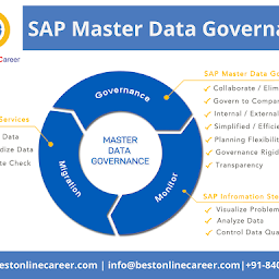 What is SAP Master Data Governance all about?