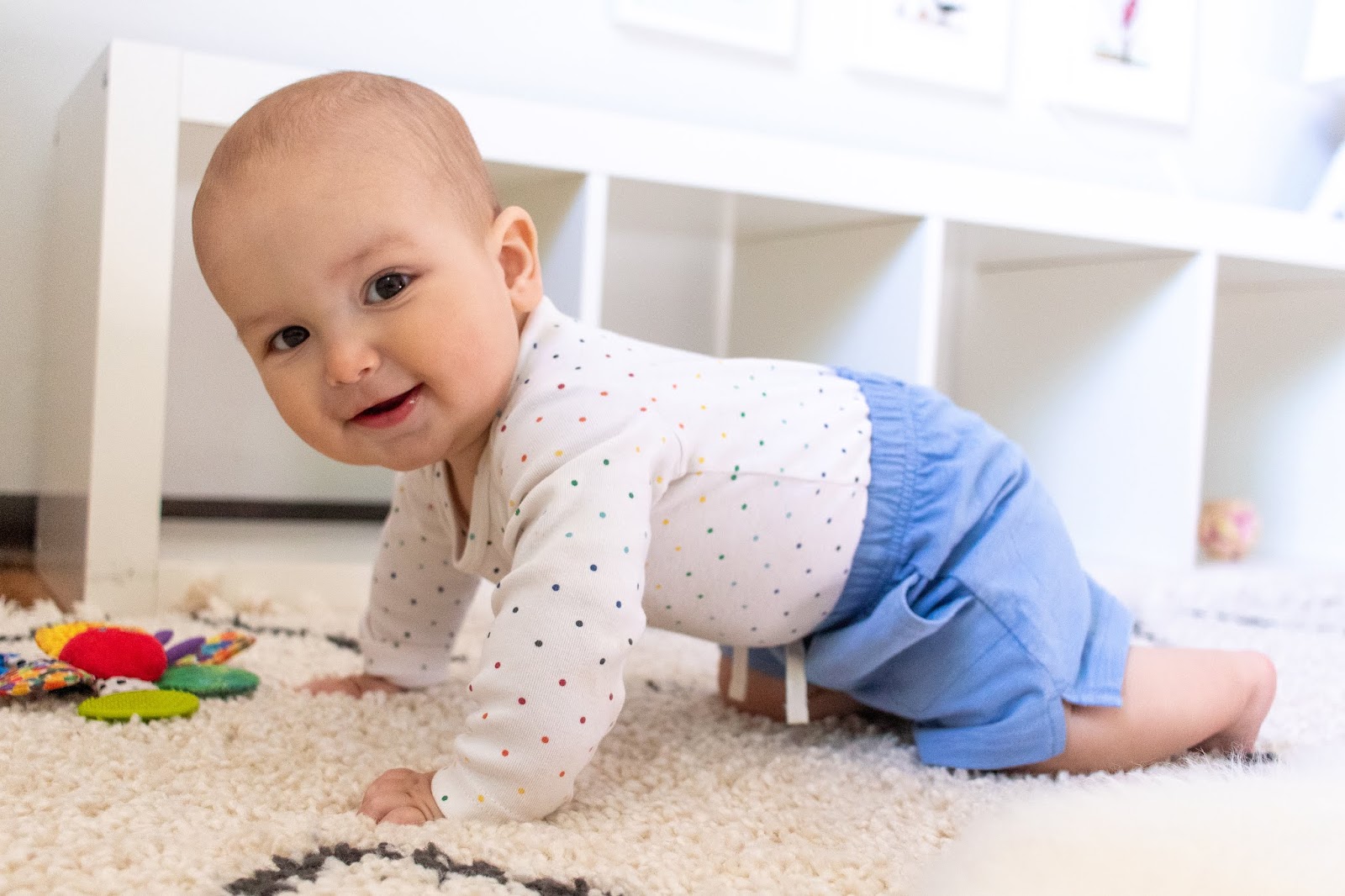 Supporting the Desire to Crawl