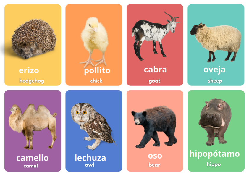 Animals Flashcards in Spanish | Spanish to Go