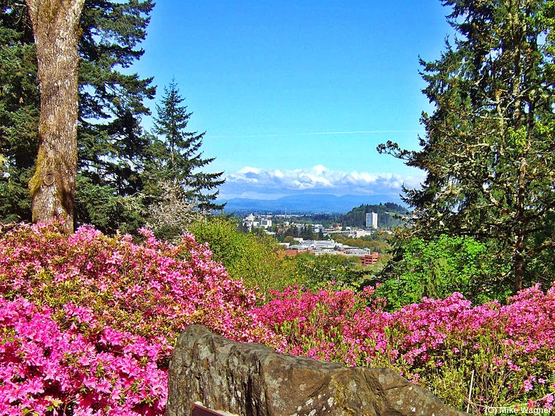 Tell it like it is: Celebrating National Poetry Month: When Springtime ...