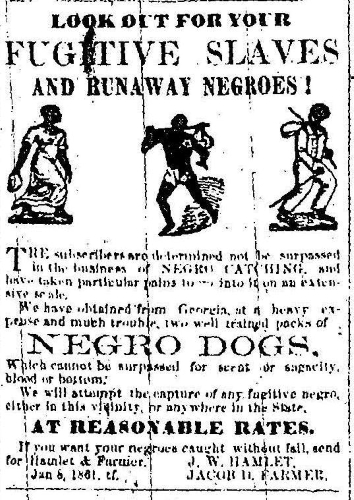 Famous Dogs in History: Race Discrimination and the Wrongful Use of ...
