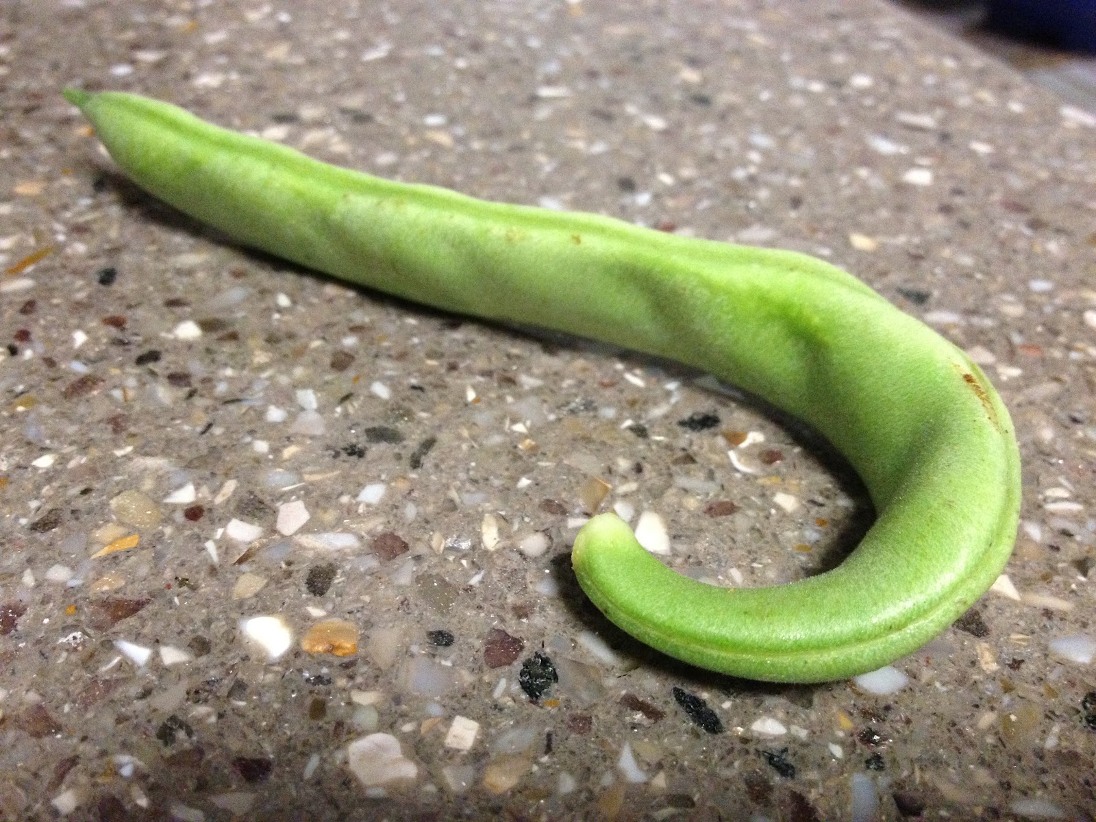 A (soy) Bean: Vegan MoFo 2012, From Cold Salads to Roasted Veggies