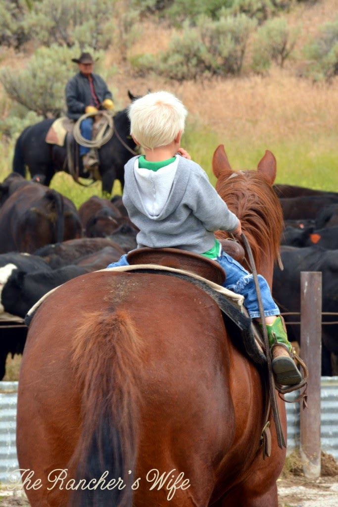 June, 2014 - The Idaho Rancher's Wife