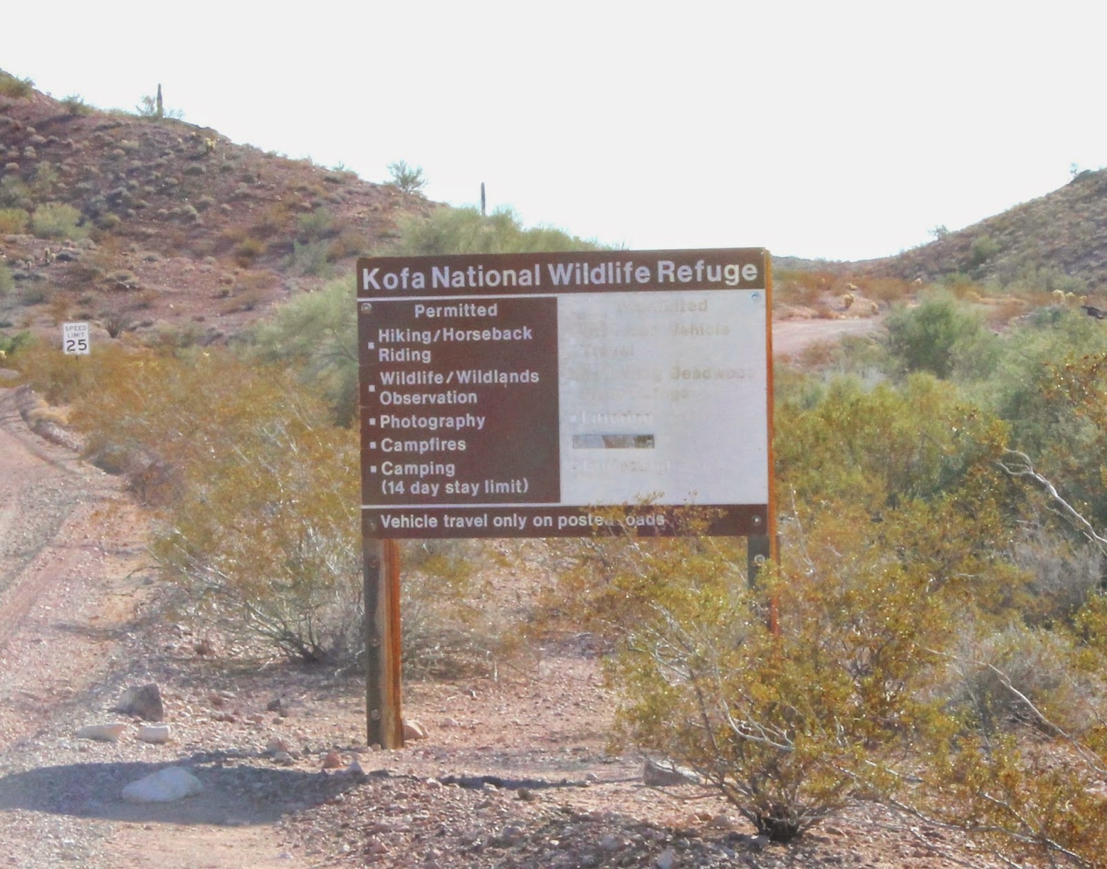 Closet Nomads: Kofa National Wildlife Refuge