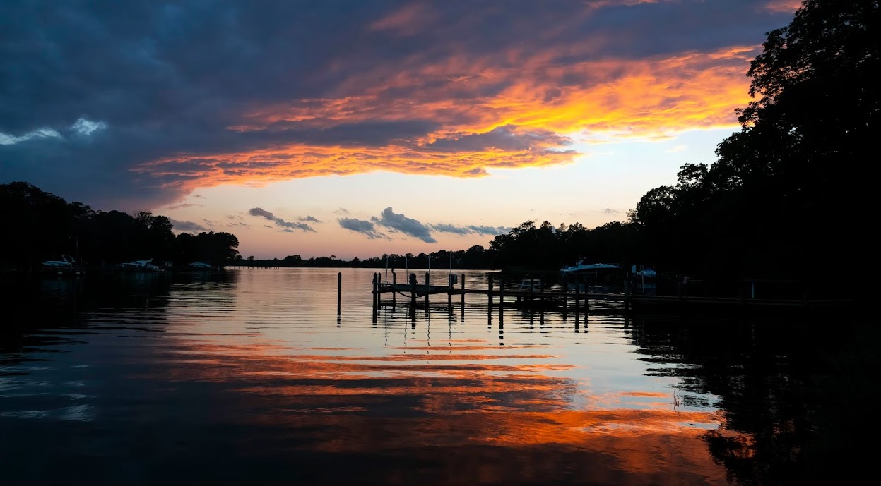 Room Without Walls: Sunflowing and Sunsetting