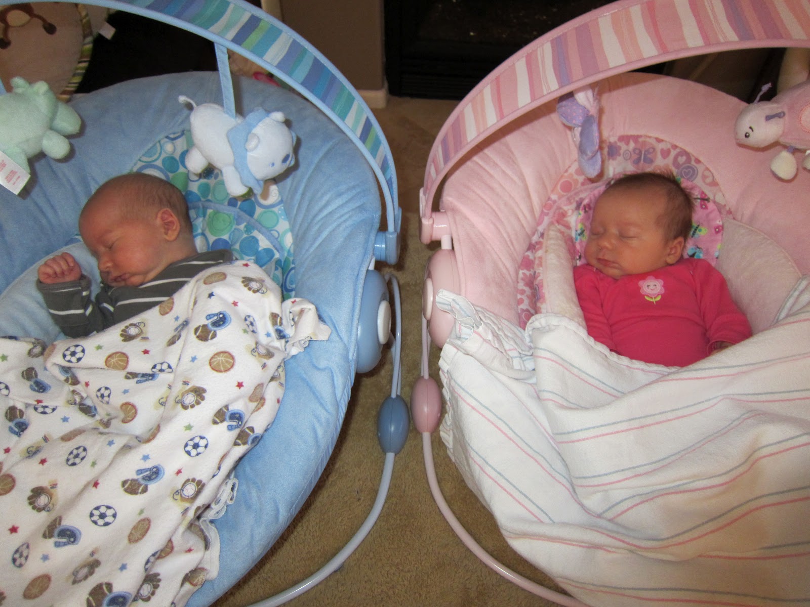Are We There Yet?: Feeding Twins