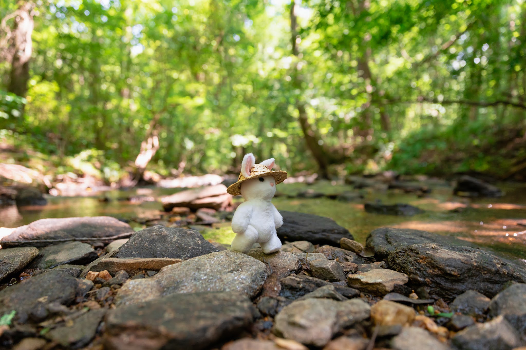Crossing the Babbling Brook - Mia Rabbit