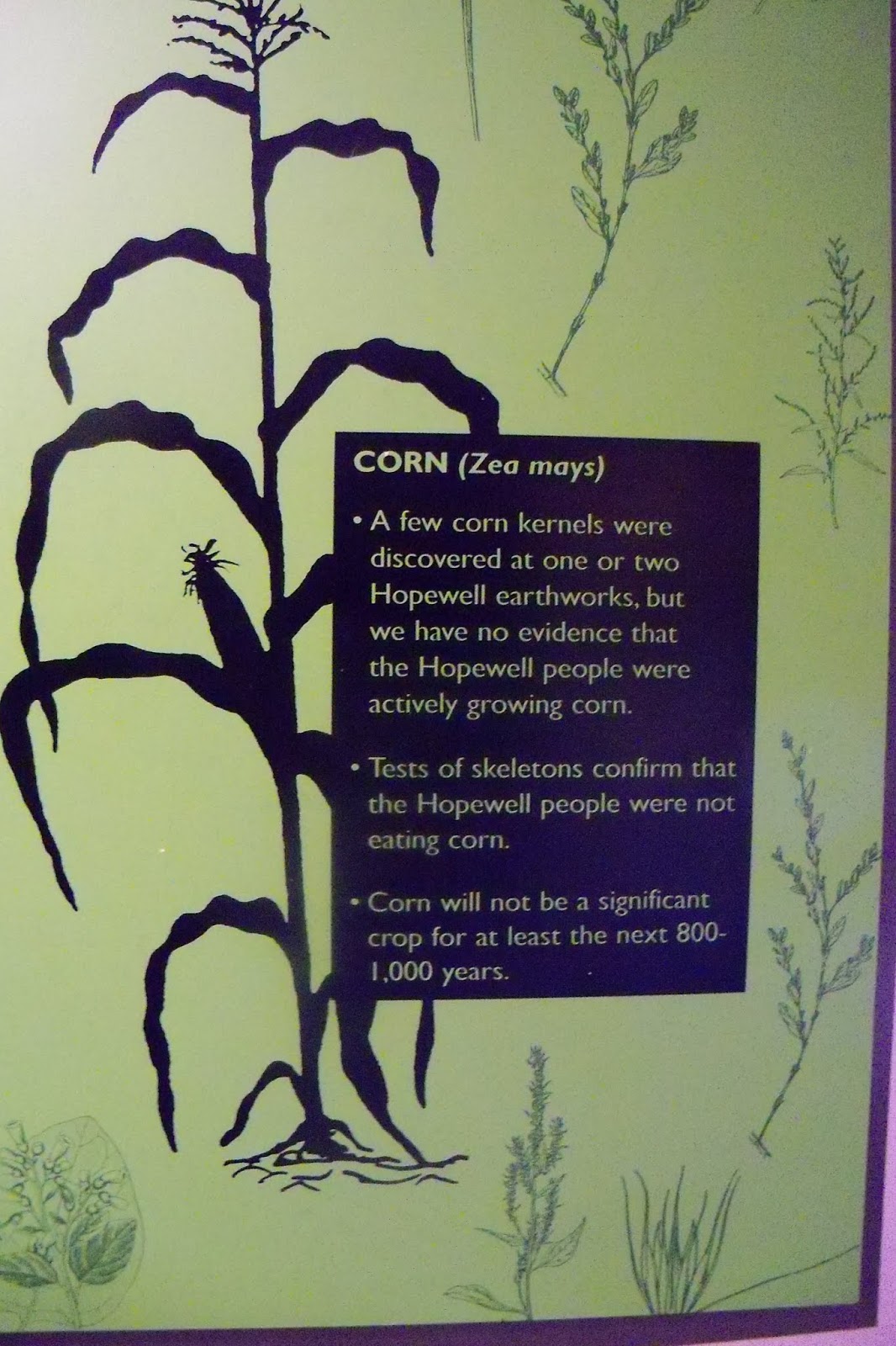 BOOK of MORMON RESOURCES: February 2020