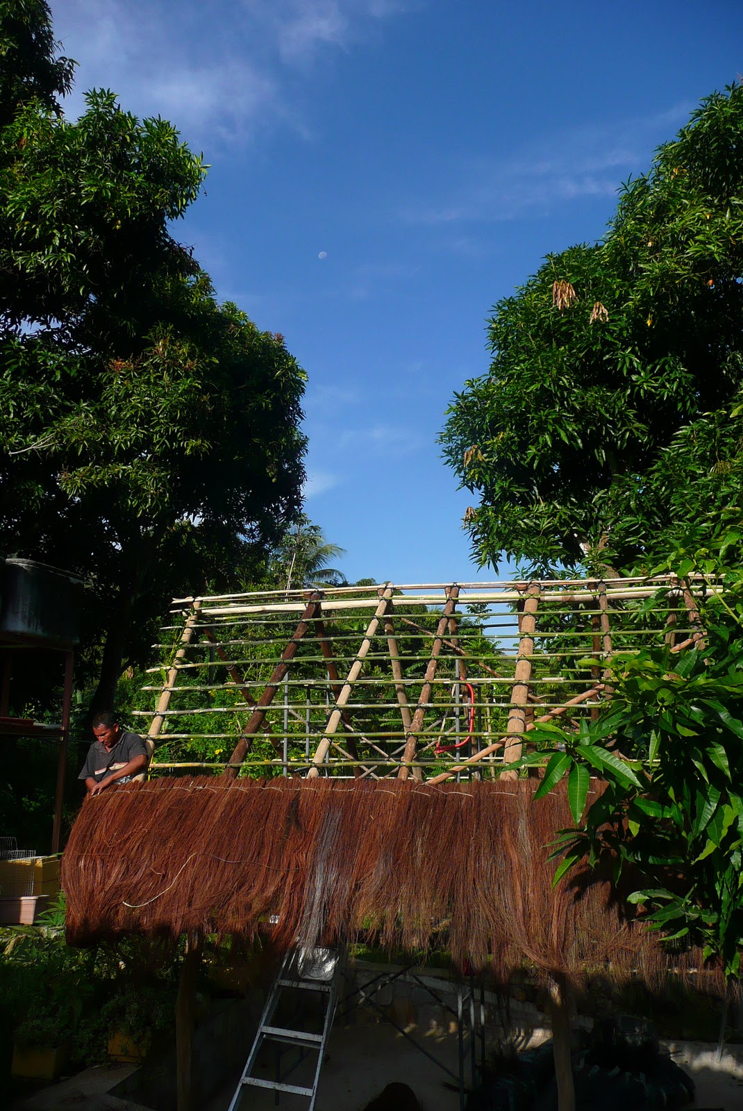 ARQUITECTURA INDÍGENA: Caney Playa Colorada