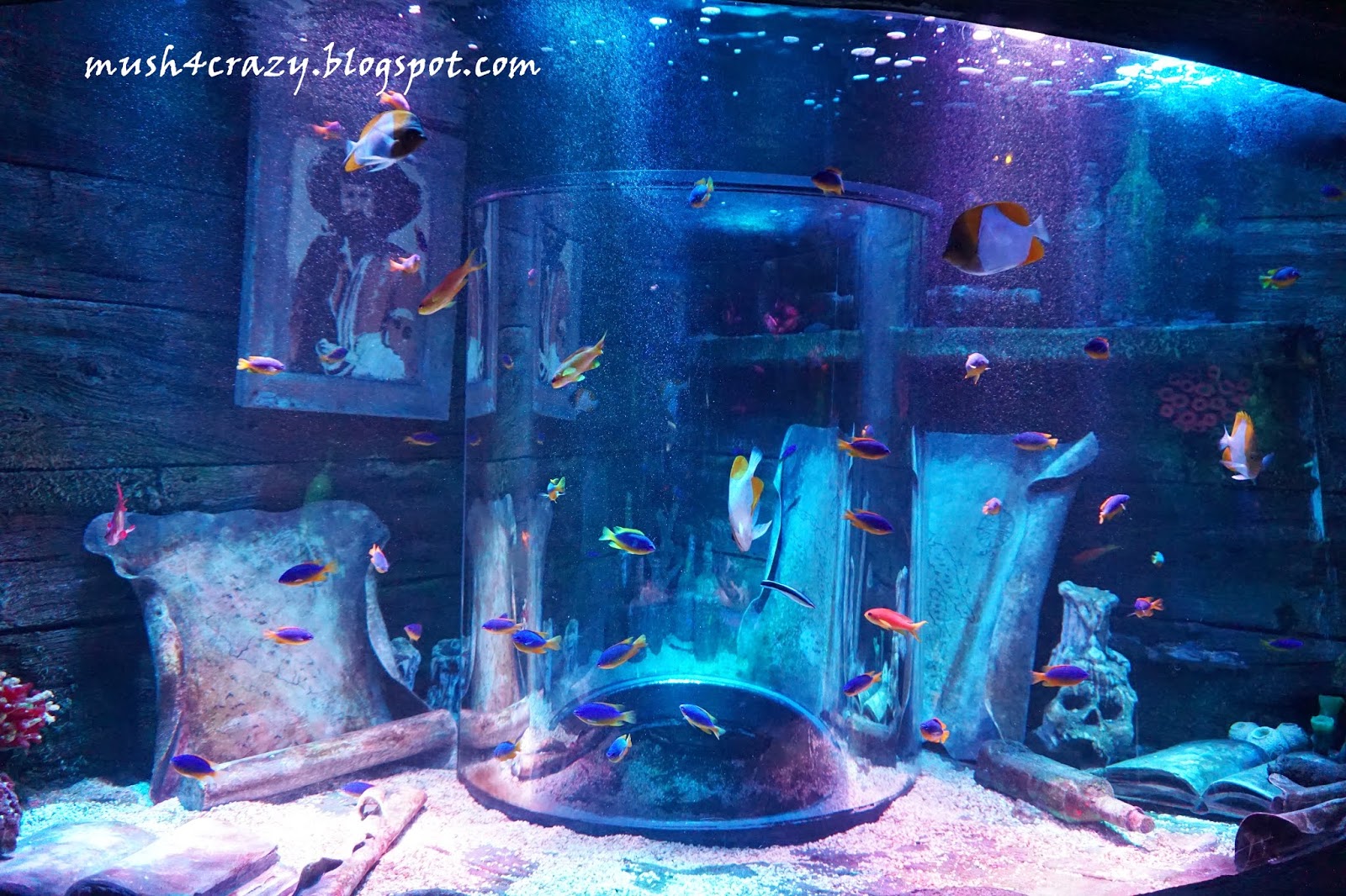 SEA LIFE, Legoland, Johor Bahru,Malaysia - After Crazying