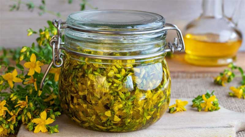 9 of the World’s Most Popular Herbal Medicines | Dr Farrah MD 9 of the World’s Most Popular Herbal Medicines | Dr Farrah MD