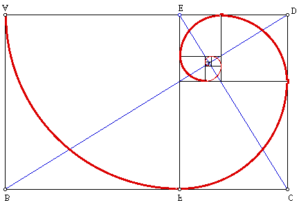 In2 Visual Design: Week 7 - The Golden Ratio