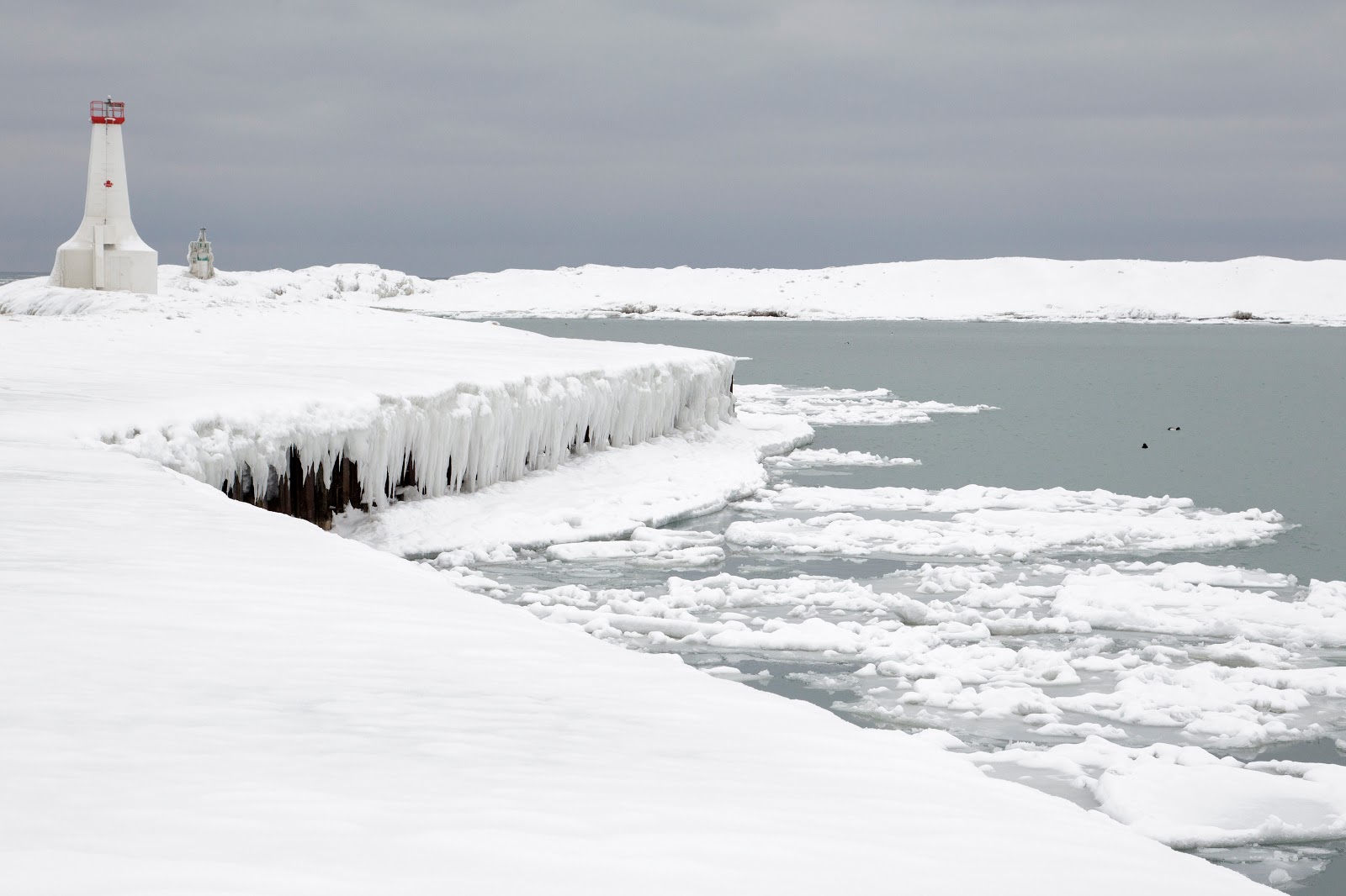pewit: icy scenes in Ontario